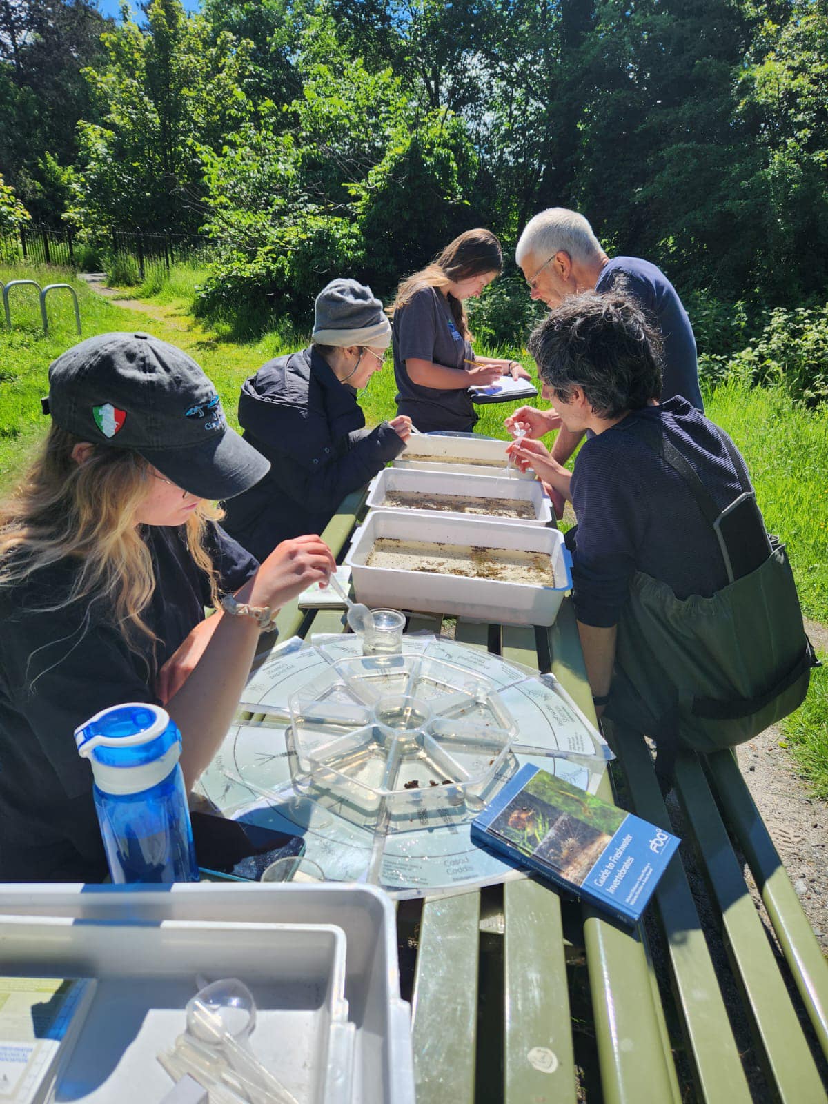 River Fly Monitoring - Fruin (extended survey) - LLFT
